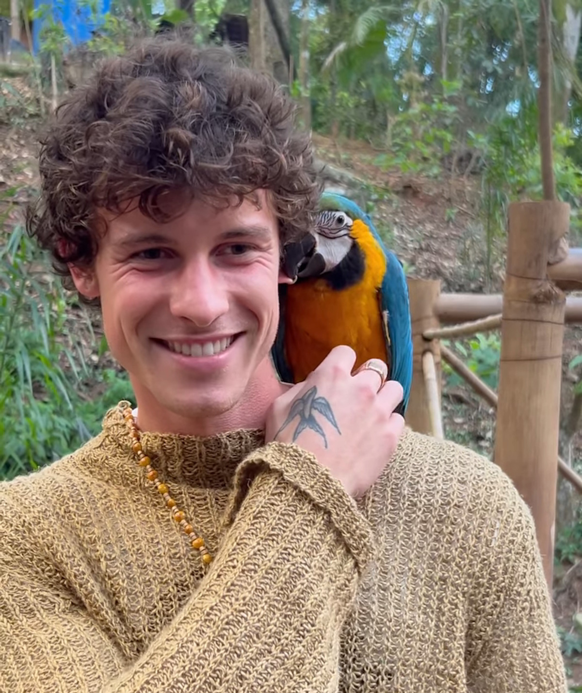 Shawn Mendes visita aldeia indígena em São Paulo e toca com locais